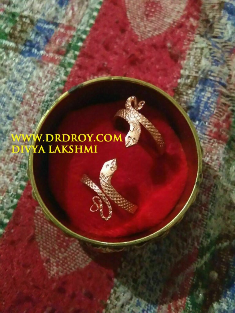 NAAGDEVA MAHAKALESHWAR POOJA KAAL SARPA DOSHA POOJA RING MARRIAGE DOSH ...